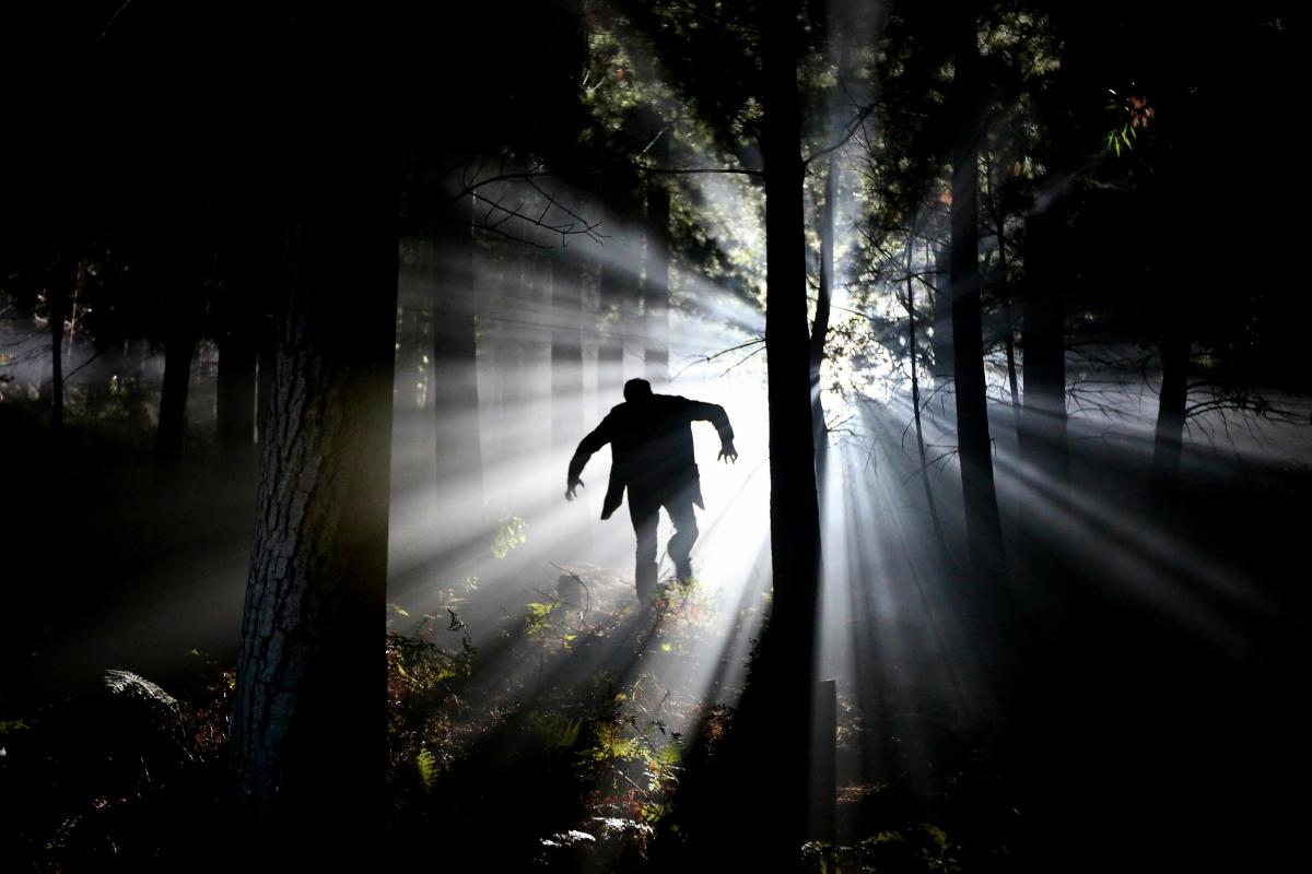 Fear Forest