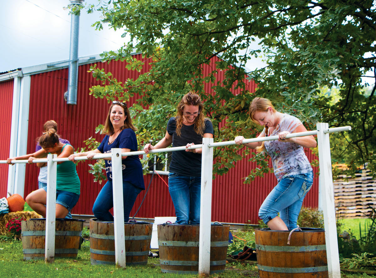Galena Cellars Annual Fall Harvest | Galena Country