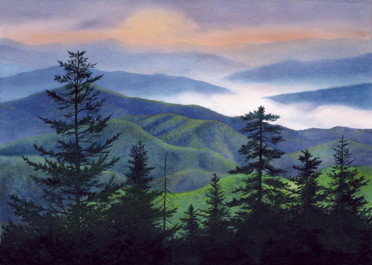 The Terri Waters Gallery