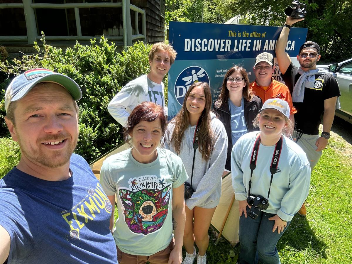 Discover Life In America