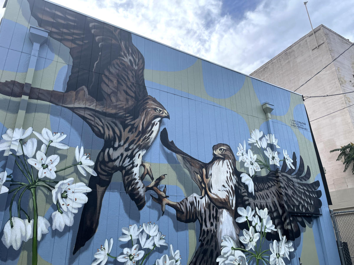 Red-Tailed Hawks over Garlic Flowers mural