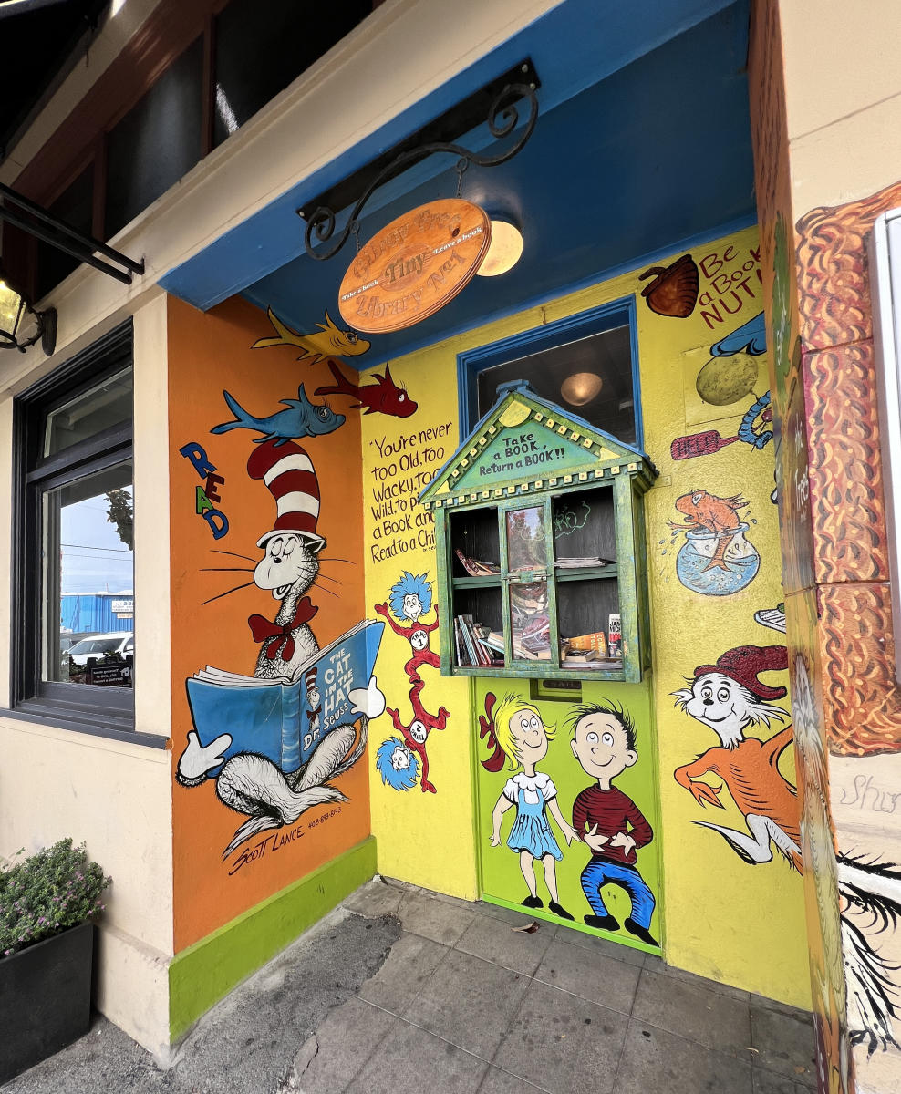 Tiny Library Dr. Seuss Theme Mural