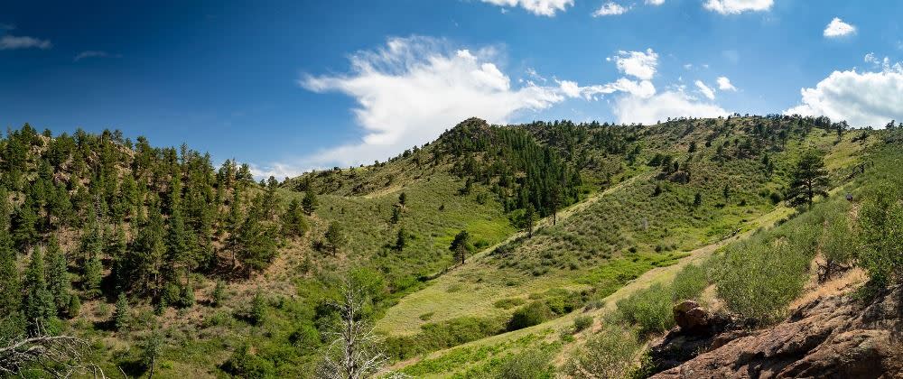 Mount Galbraith Trailhead