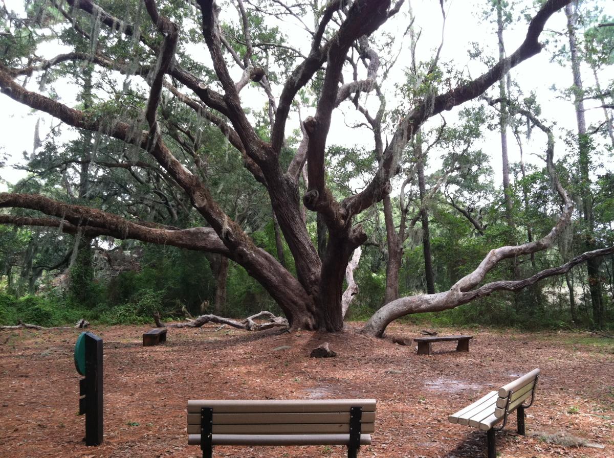 John Gilbert Nature Trail