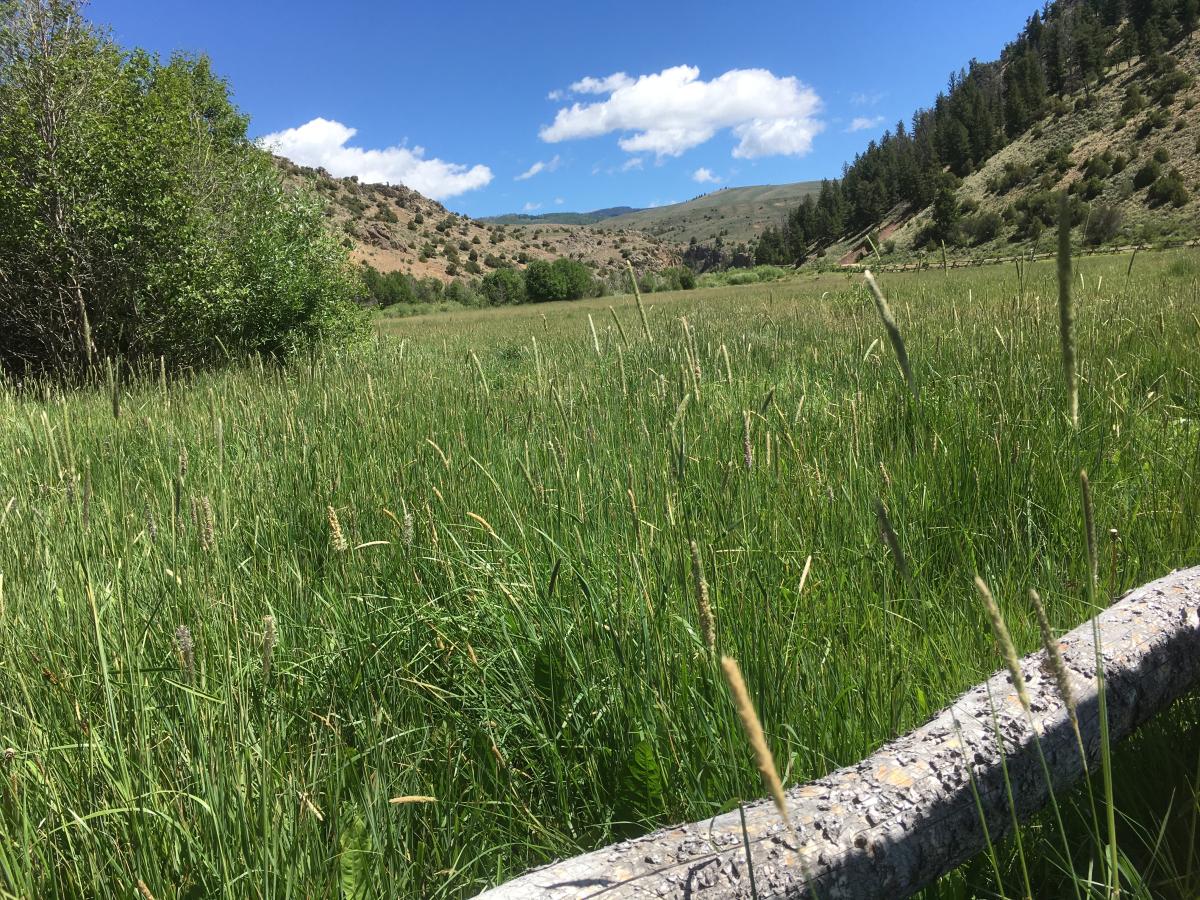 Rimrock Canyon Ranch