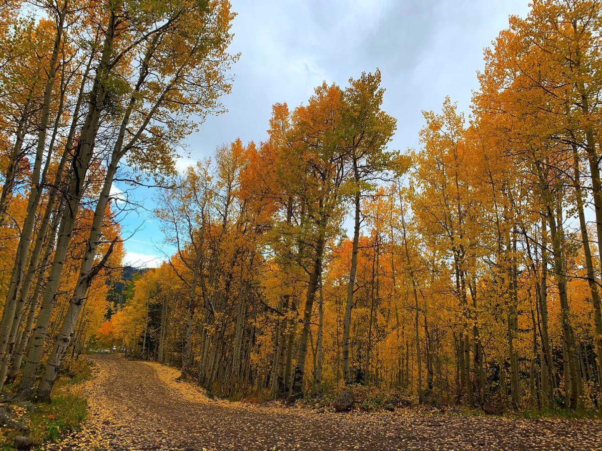 Basin Trail