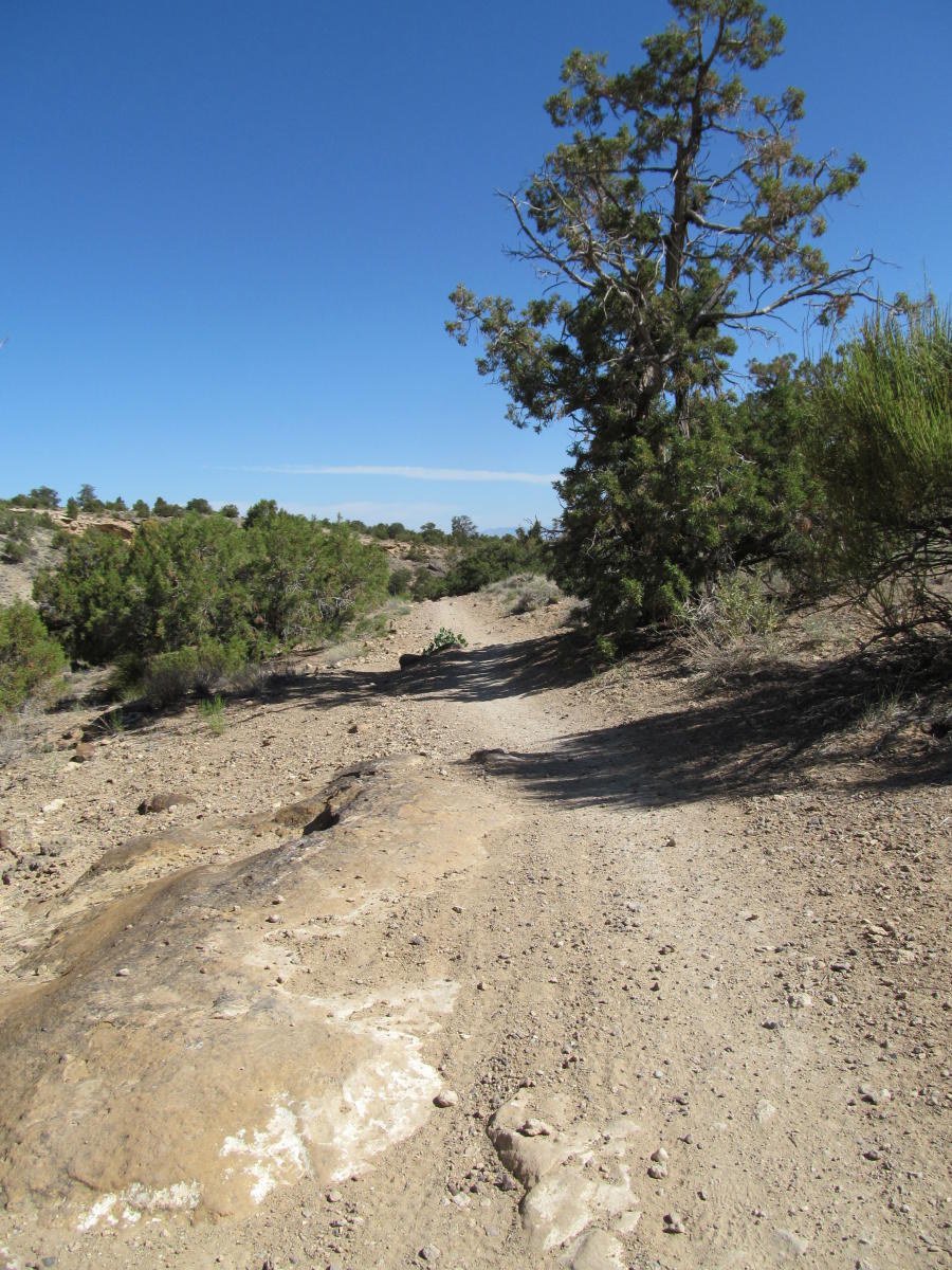 Canyon View Trail