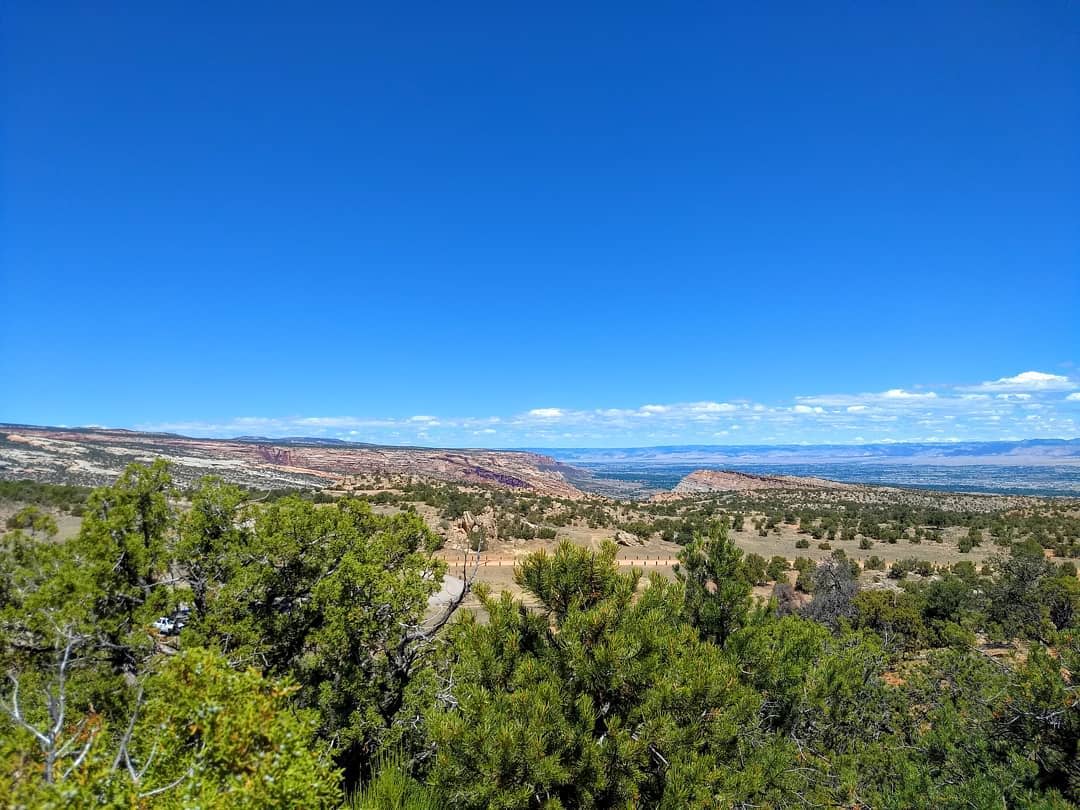 Quad Rocker Trail