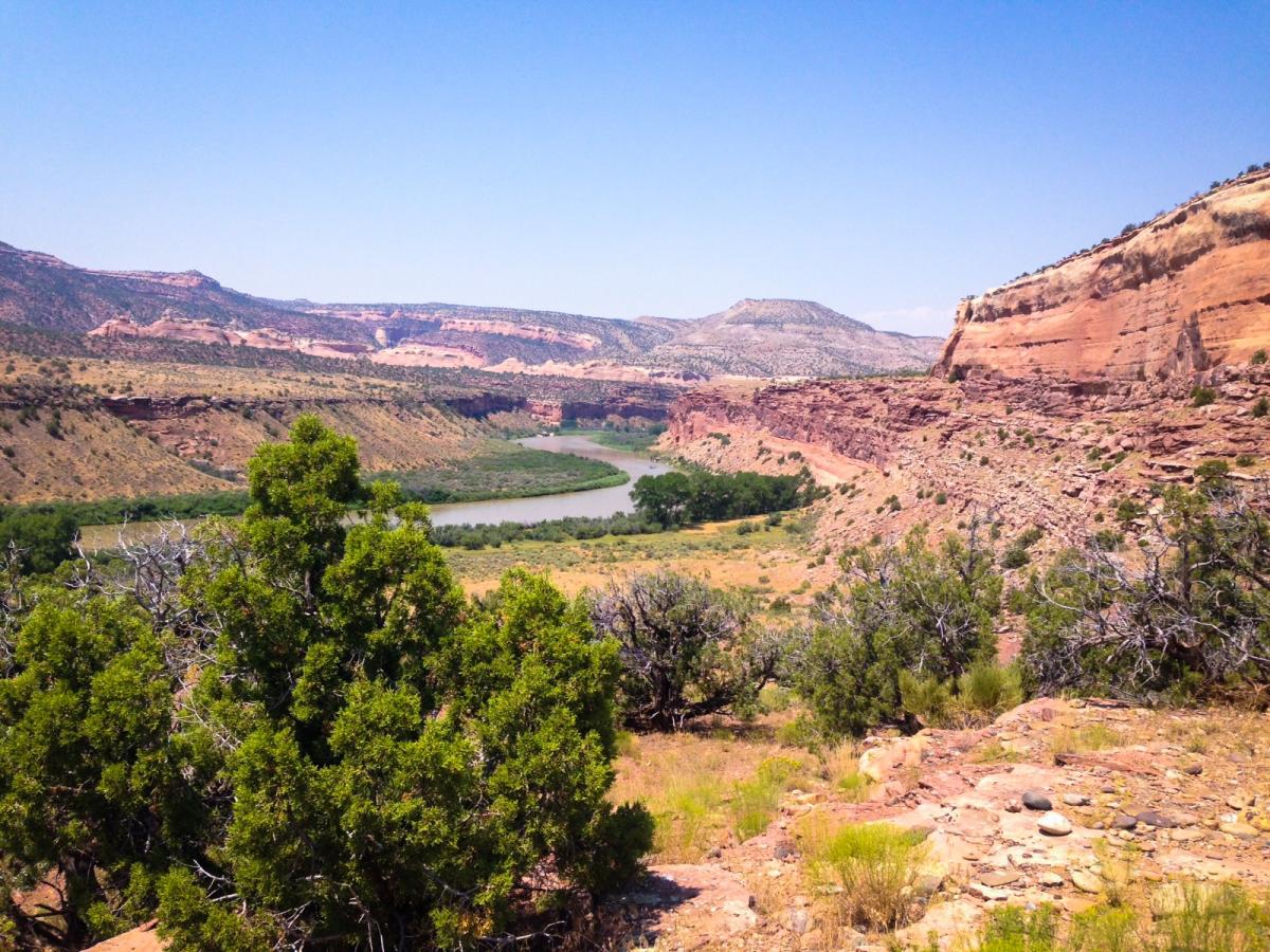 Kokopelli Loops - Rustler's Loop