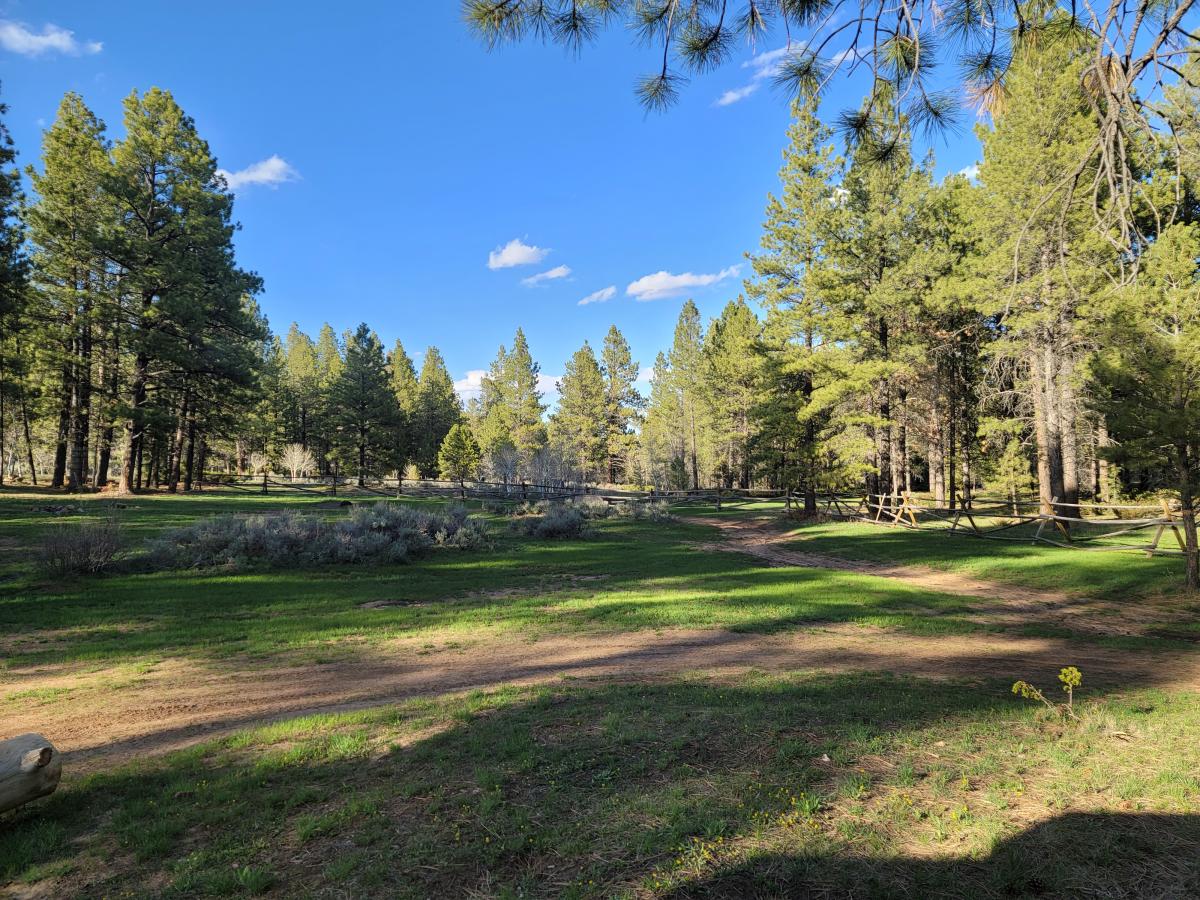 Divide Forks Campground | Whitewater, CO