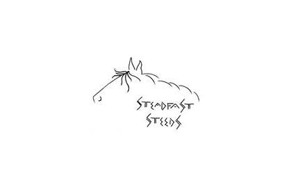 Steadfast Steeds Mustang Sanctuary