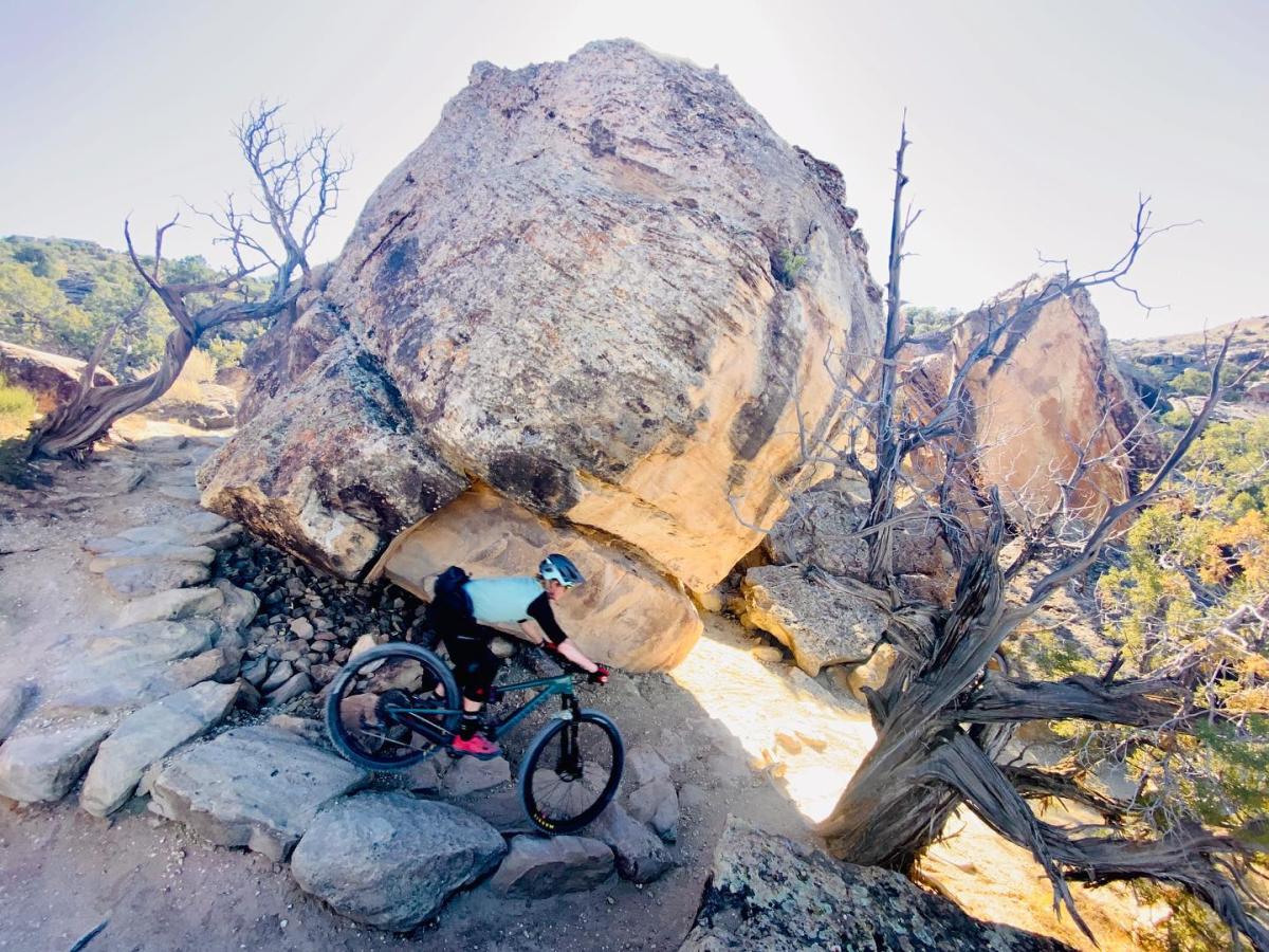 Lunch Loops - Holey Bucket and Holy Cross Loop