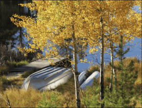 Little Pines Photos | Grand Lake, CO