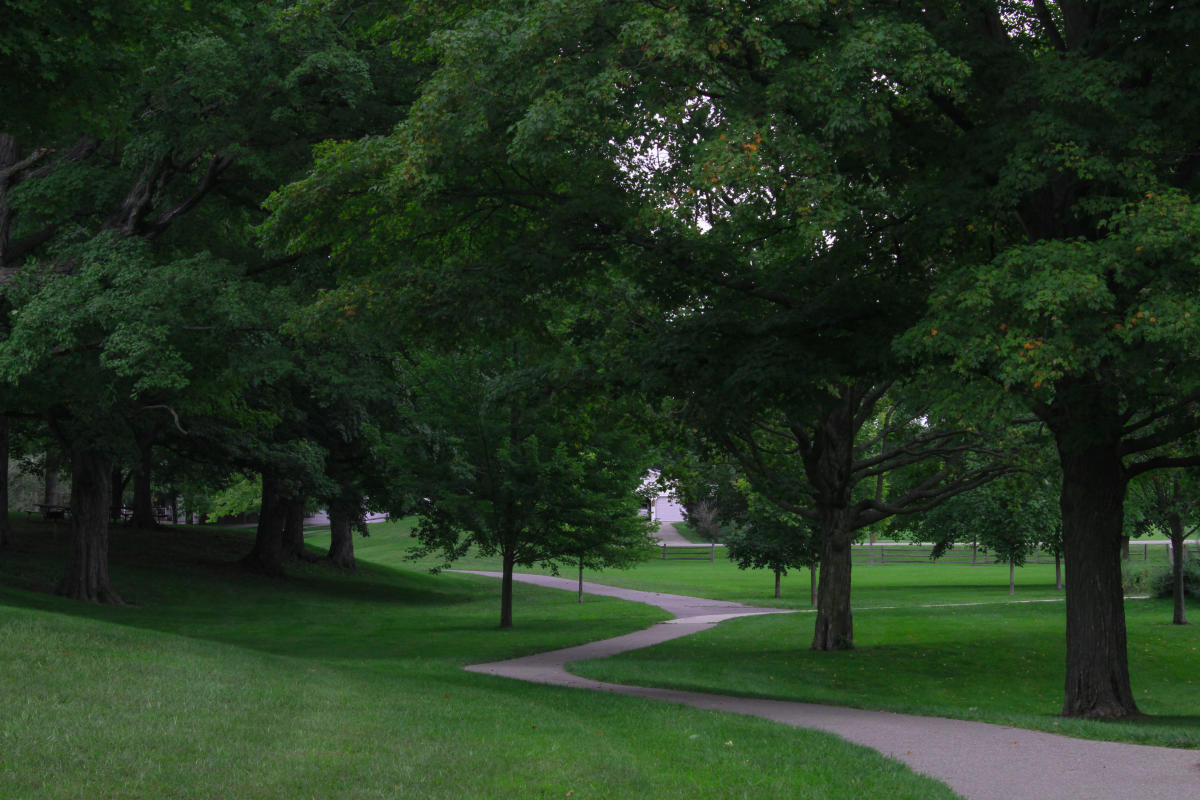 Dutton Shadyside Park - Dutton MI, 49316