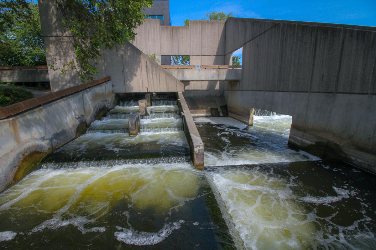 Fish Ladder Park - Grand Rapids MI, 49504