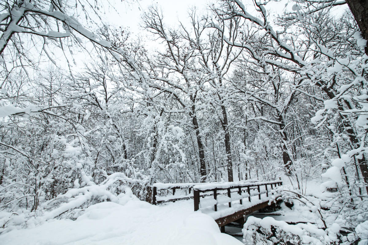 Seidman Park - Ada MI, 49301