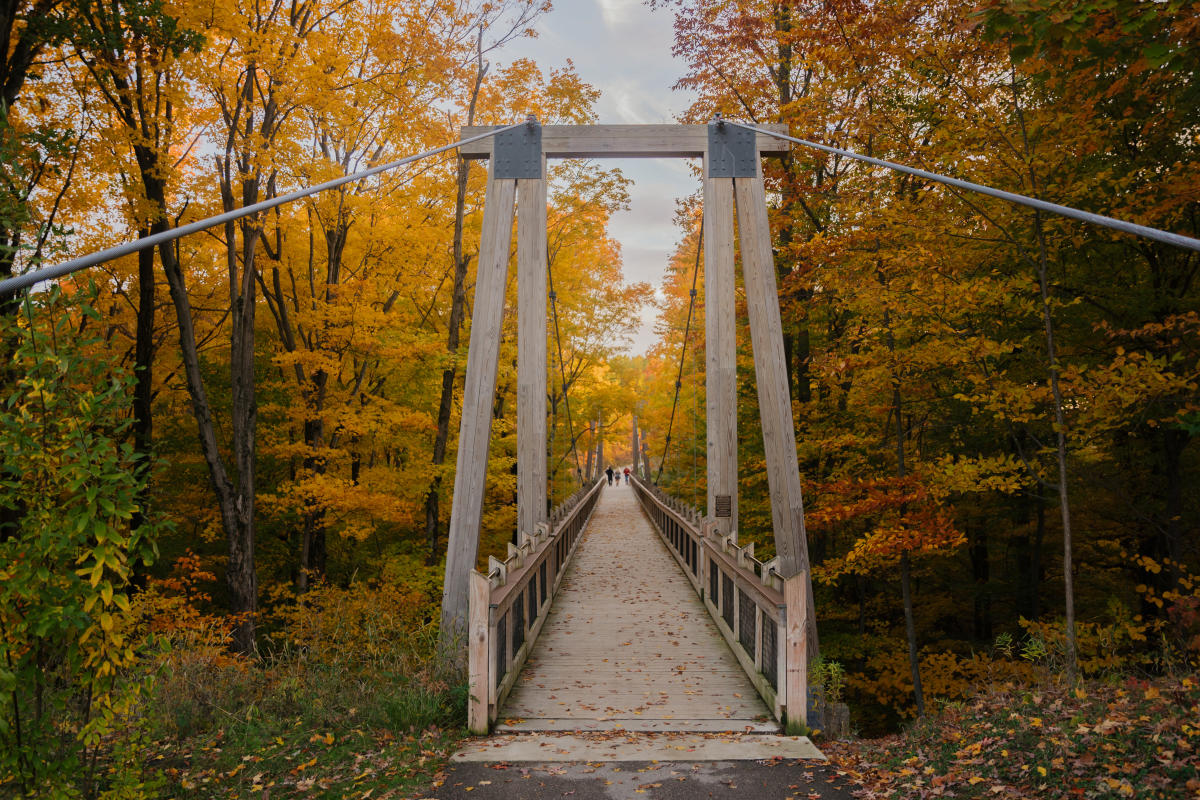 Grand Ravines South & Dog Park - Jension MI, 49428