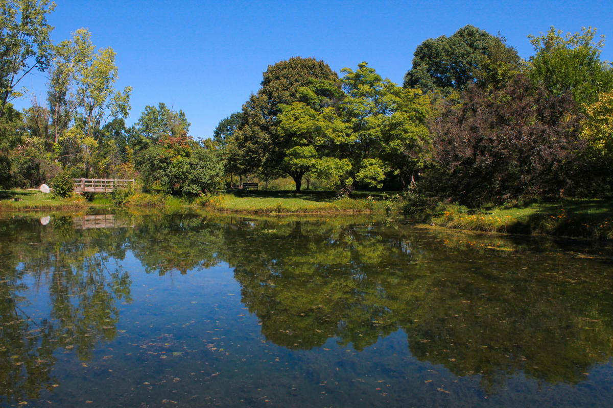 Ada Township Park - Ada MI, 49301