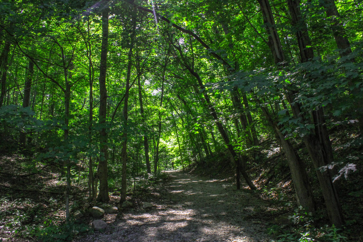 Cascade Peace Park Trail - Ada MI, 49301