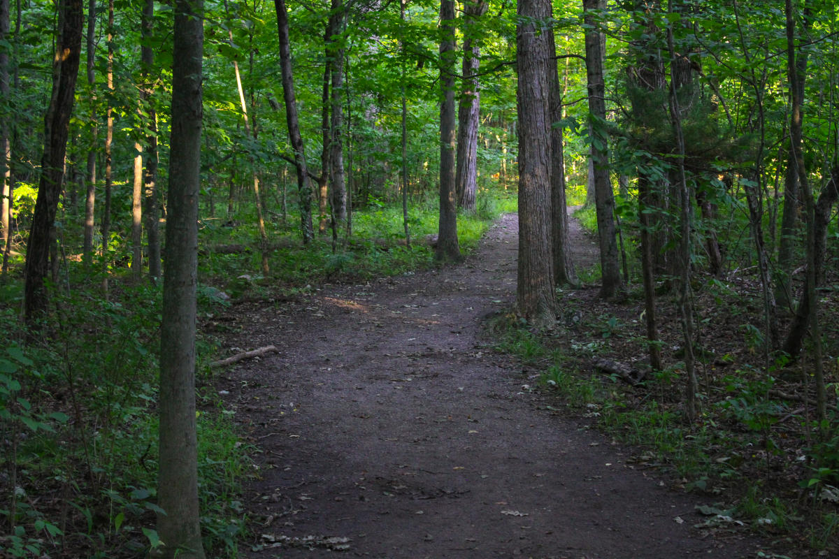 Seidman Park Trail - Ada MI, 49301