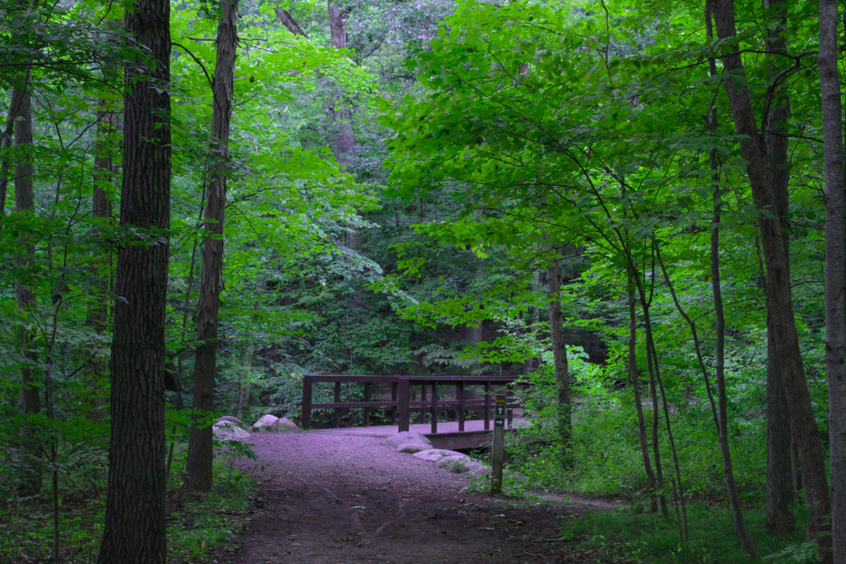 Seidman Park - Ada MI, 49301