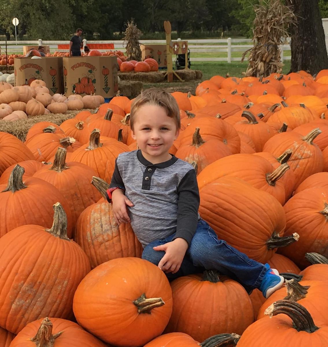 Carmichael's Pumpkin Patch | Green Country Oklahoma | Official Site
