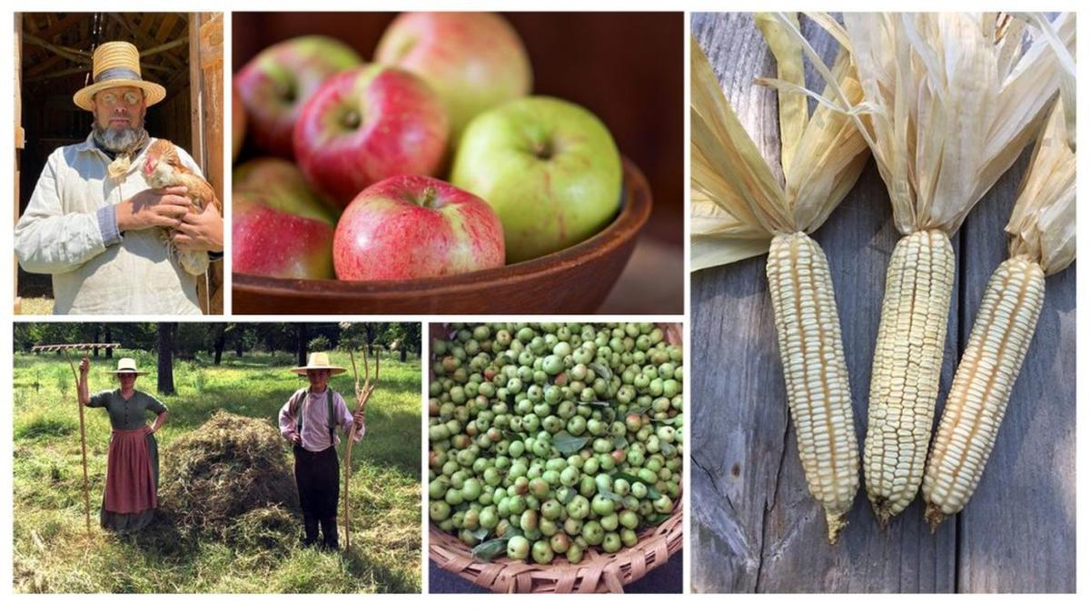 Fall on the Farm at Hunter's Home | Green Country Oklahoma | Official Site