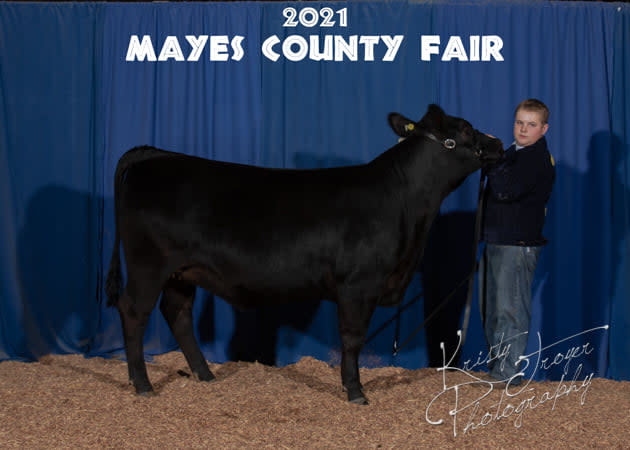 Mayes County Fair | Green Country Oklahoma | Official Site