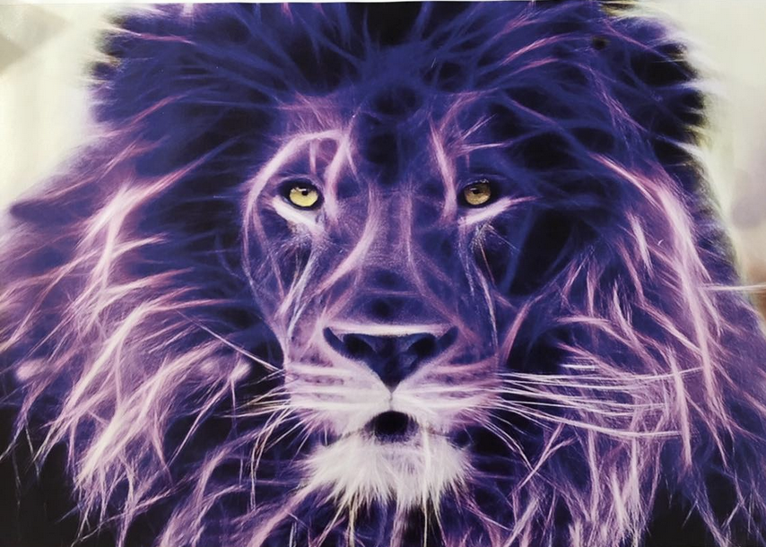 The Purple Lion Boutique | Green Country Oklahoma | Official Site