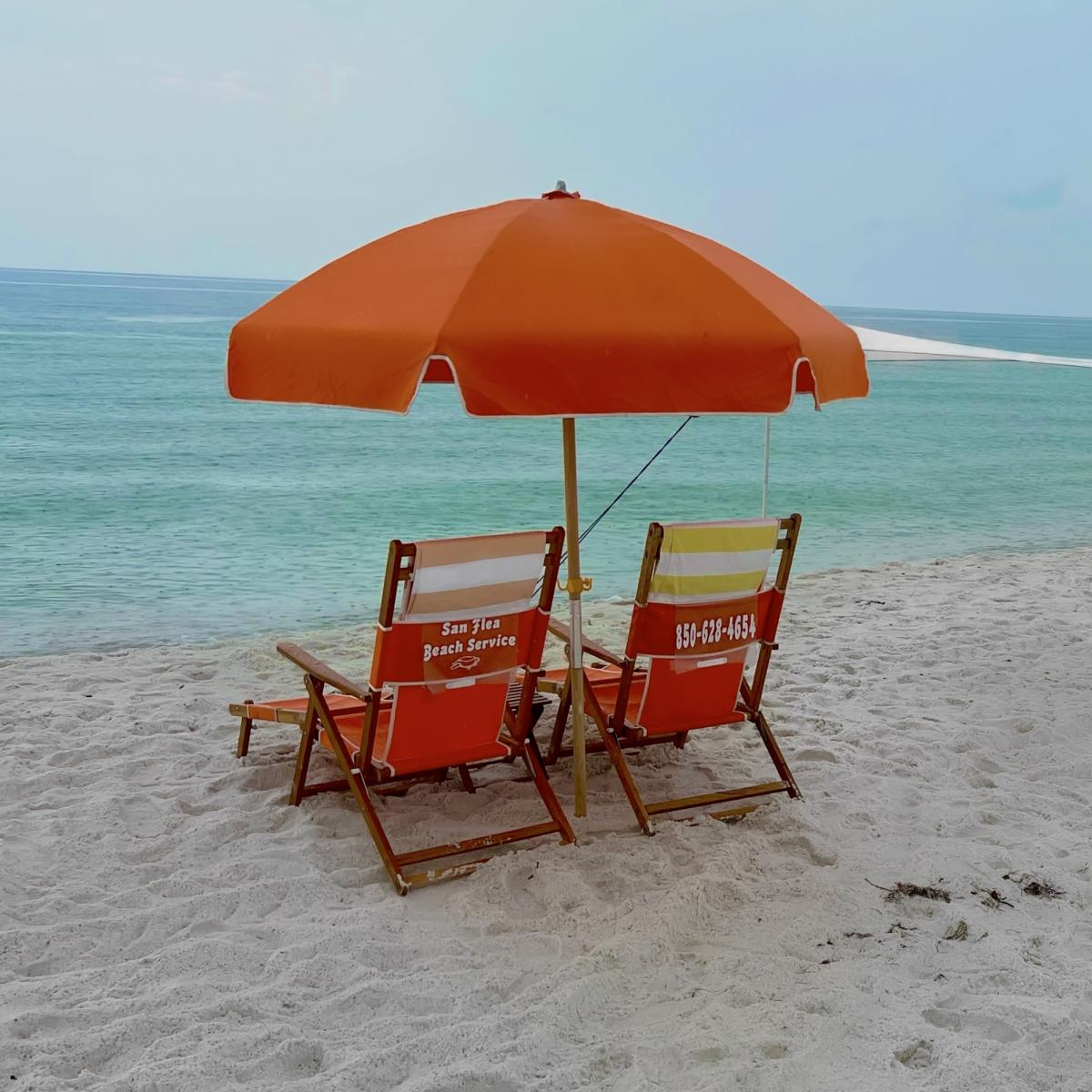 San Flea Beach Service