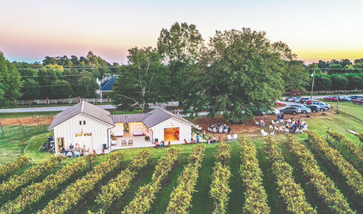 Fridays with Halem Albright at Cloudland🍷🎵 | Gwinnett County, GA