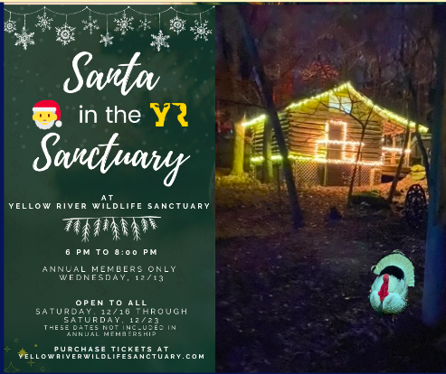 Santa in the Yellow River Sanctuary | Gwinnett County, GA