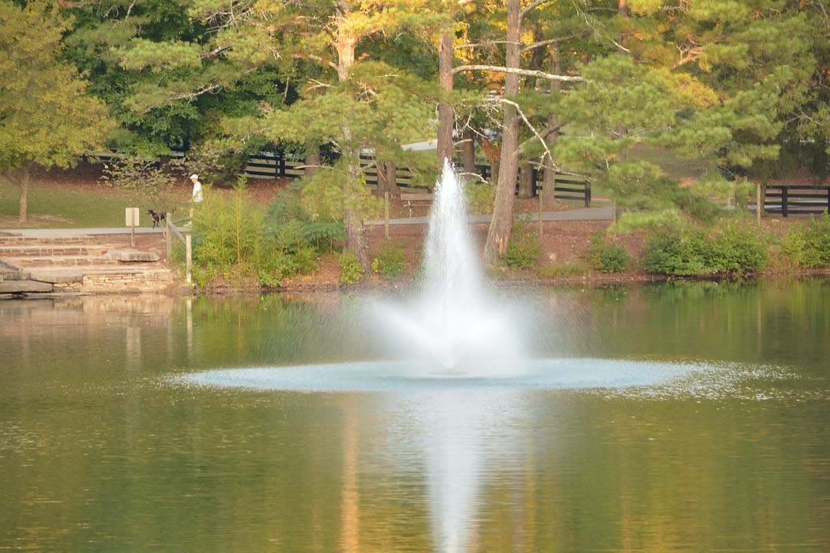 Sims Lake Park
