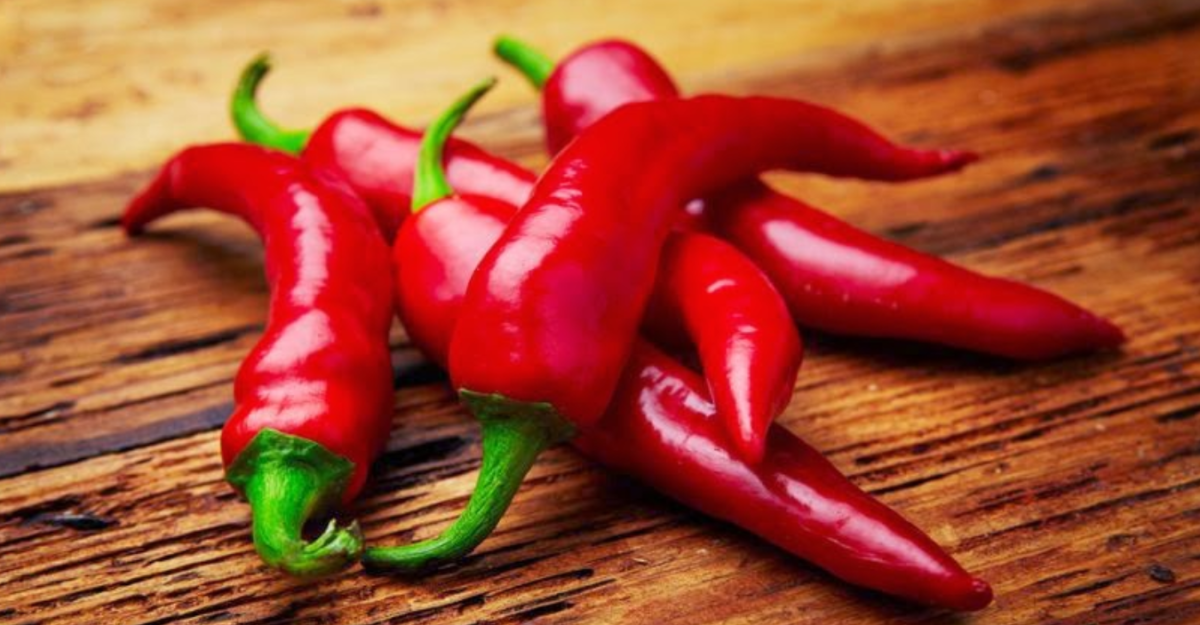 Cuernavaca Grill & Mexican Restaurant | Gwinnett County, GA