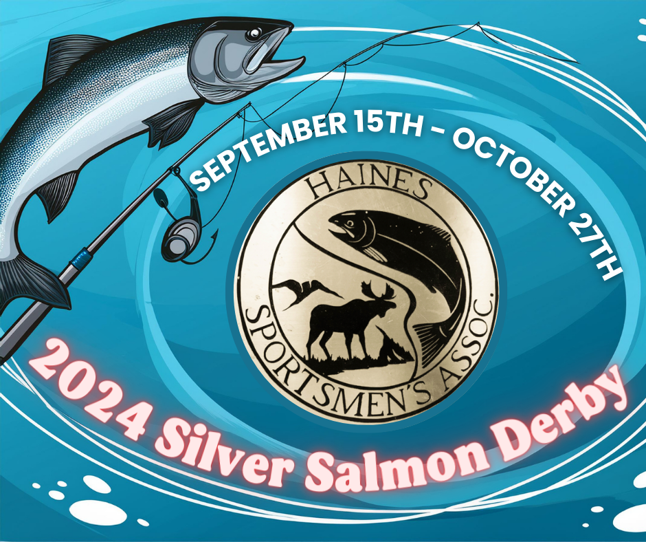 Haines Silver Salmon Derby