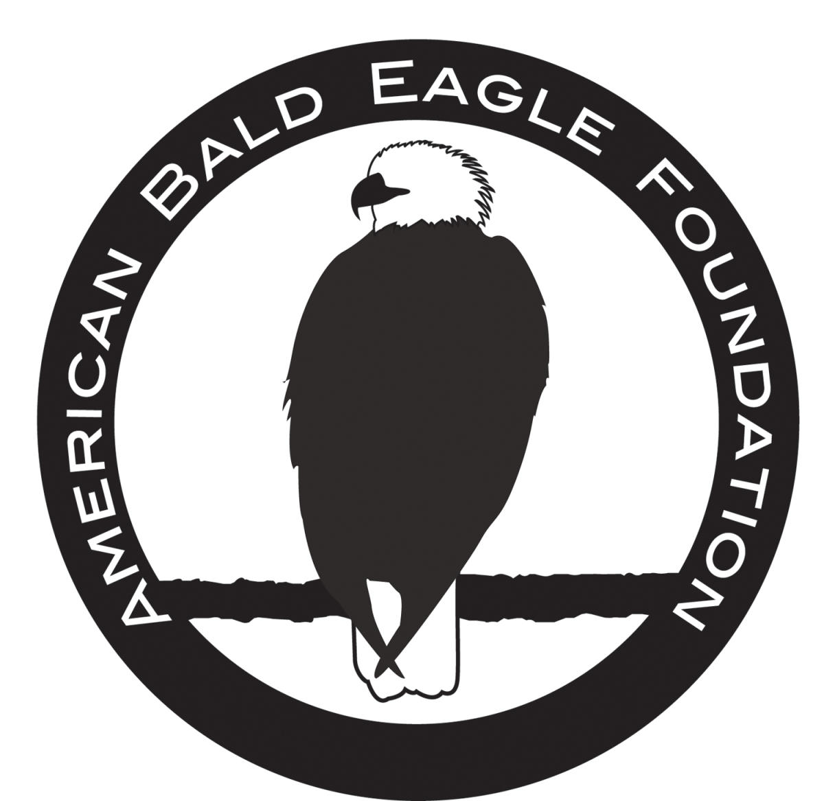 Alaska Bald Eagle Festival