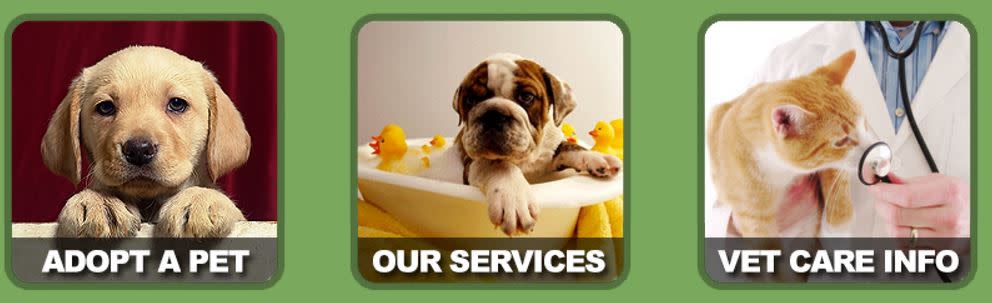 Haines Animal Rescue Kennel (HARK)
