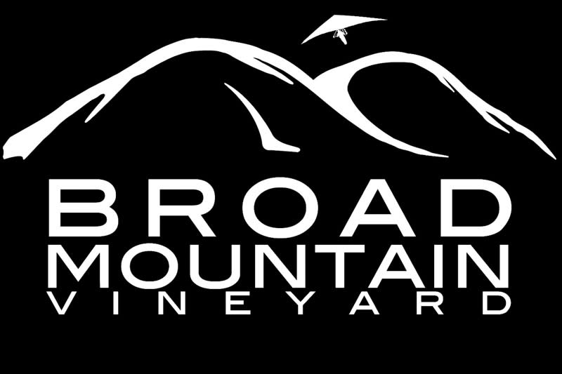 Broad Mountain Vineyard