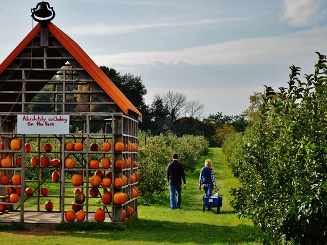 Crane Orchards