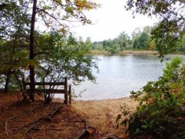 Farview Nature Park