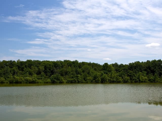 Hawthorn Pond Natural Area