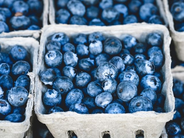 Wa-Hu Blueberry Farm