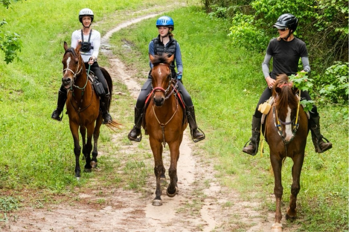 Cypress Trails Ranch LLC. | Things To Do in Humble, TX