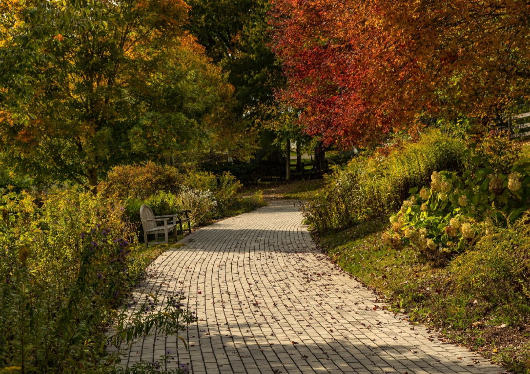 Howard County Conservancy Native Honors Garden | Woodstock, MD 21163