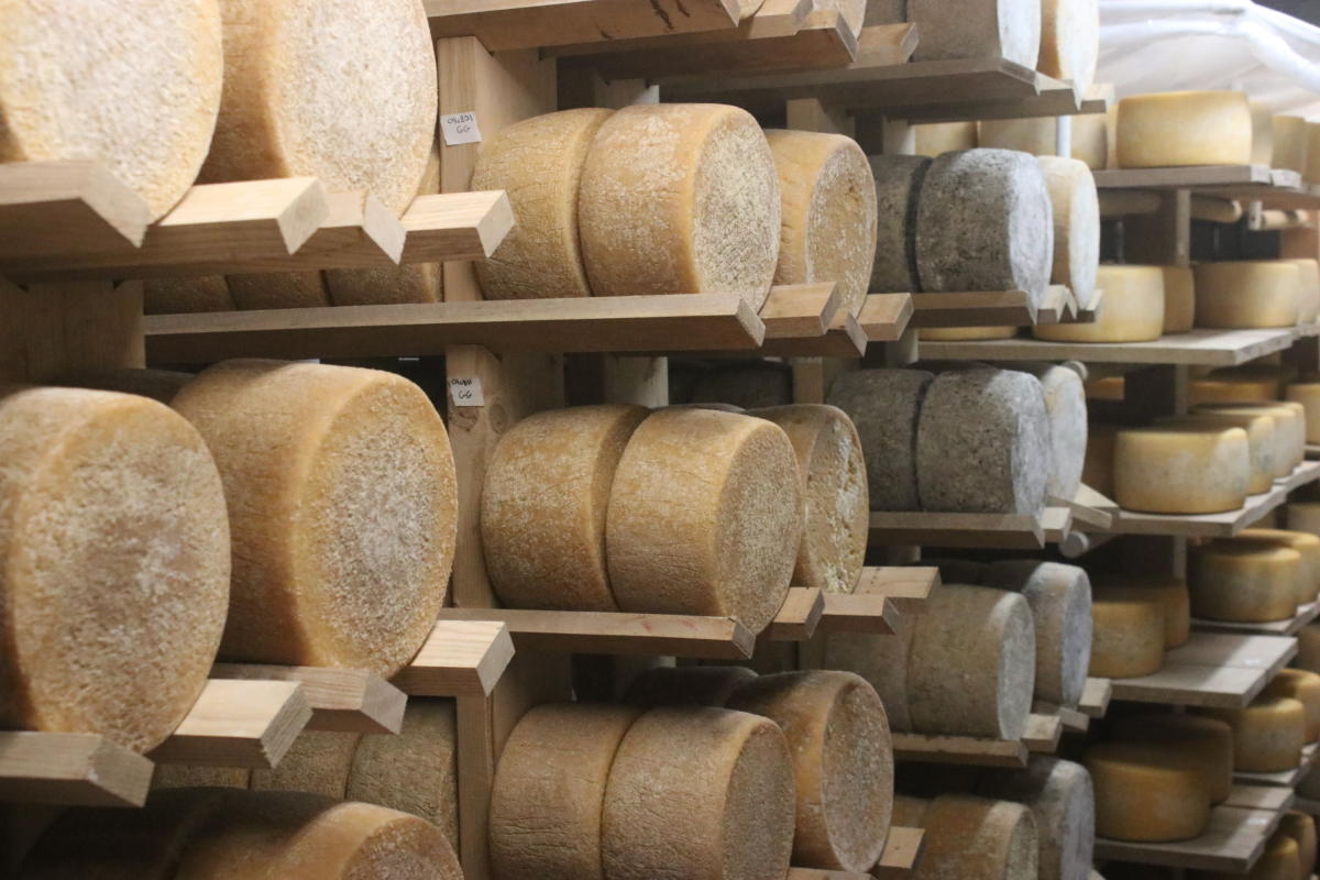 Clover Creek Cheese Cellar