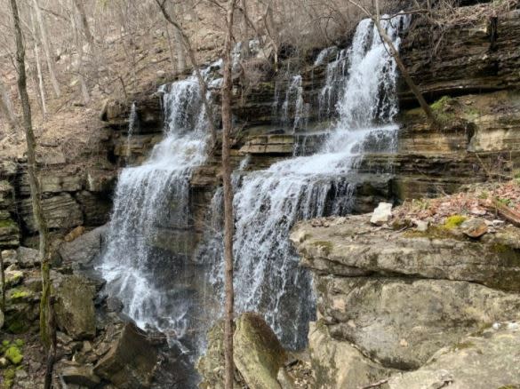 Bethel Spring Preserve