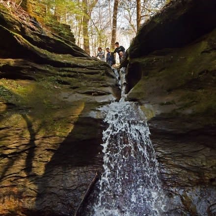 Turkey Run State Park