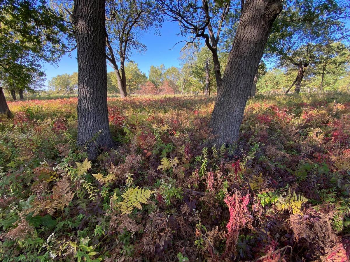 Interlake Off-Road State Recreation Area