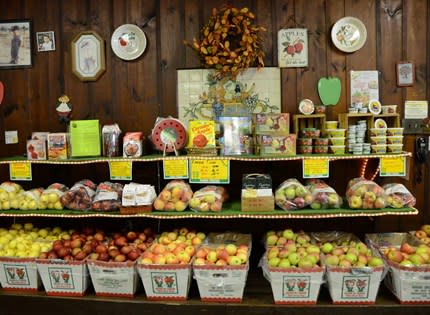 Adrian Orchards