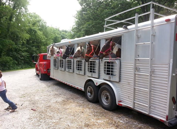 Crooked Creek Trails Horseback Riding Stables